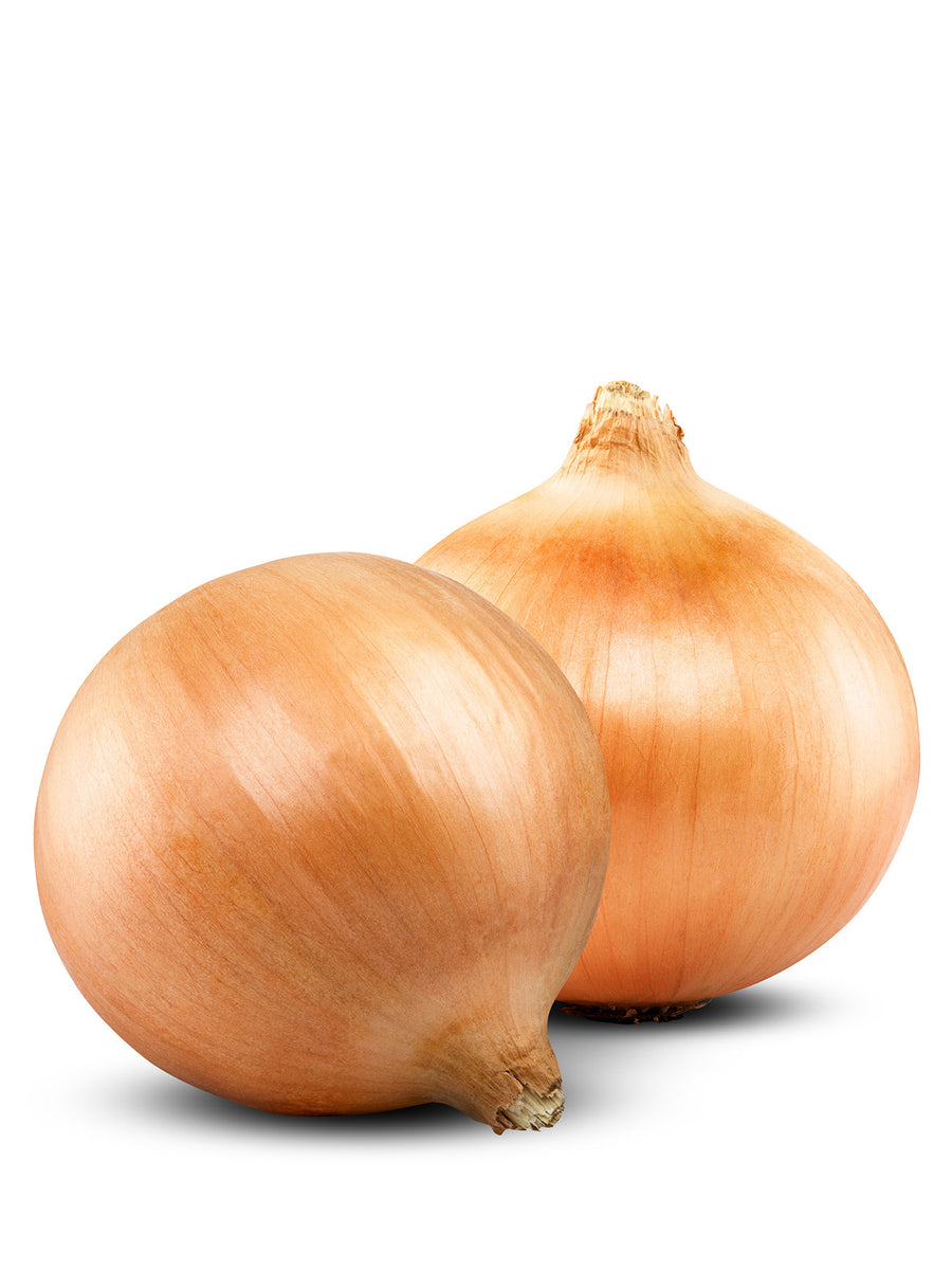PREMIUM YELLOW ONION (+/- 500G) – Village Grocer - 1st Avenue